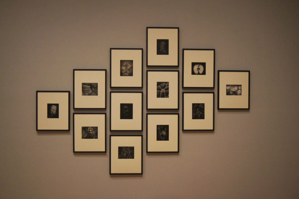 Tru Vue® Optium® Acrylic Glazing enhances the viewer's experience for ...